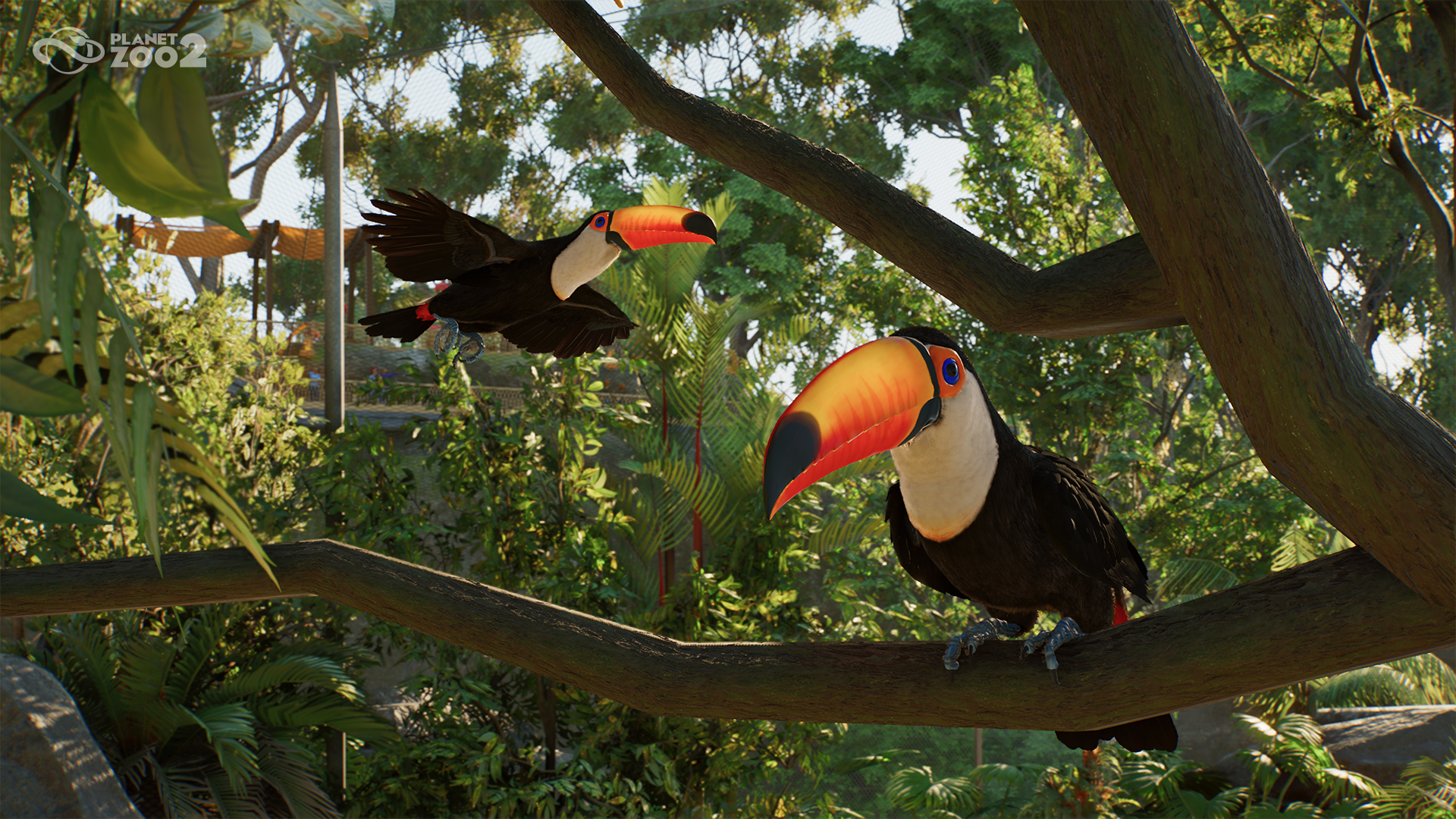 Planet Zoo 2 is coming, with aquatic and flying species for the first ...